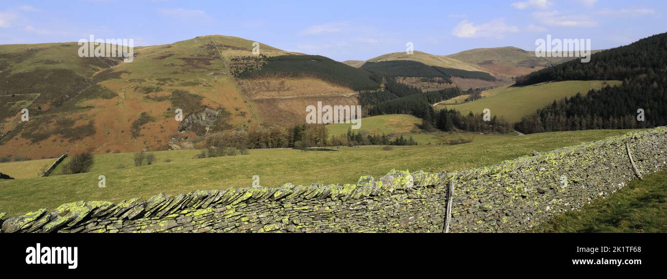 View over the Whinlatter forest, Lake District National Park, Cumbria ...