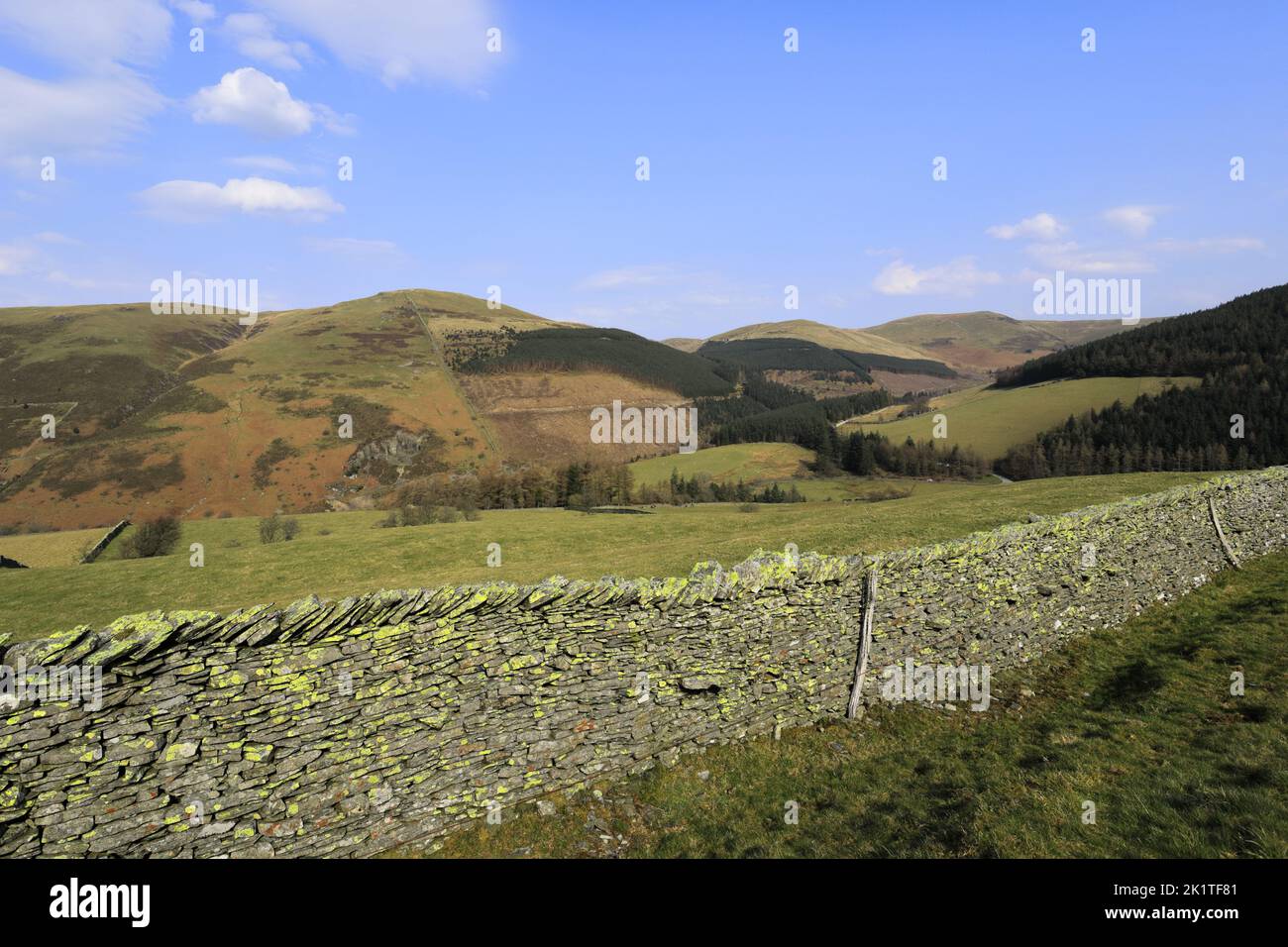 View over the Whinlatter forest, Lake District National Park, Cumbria ...