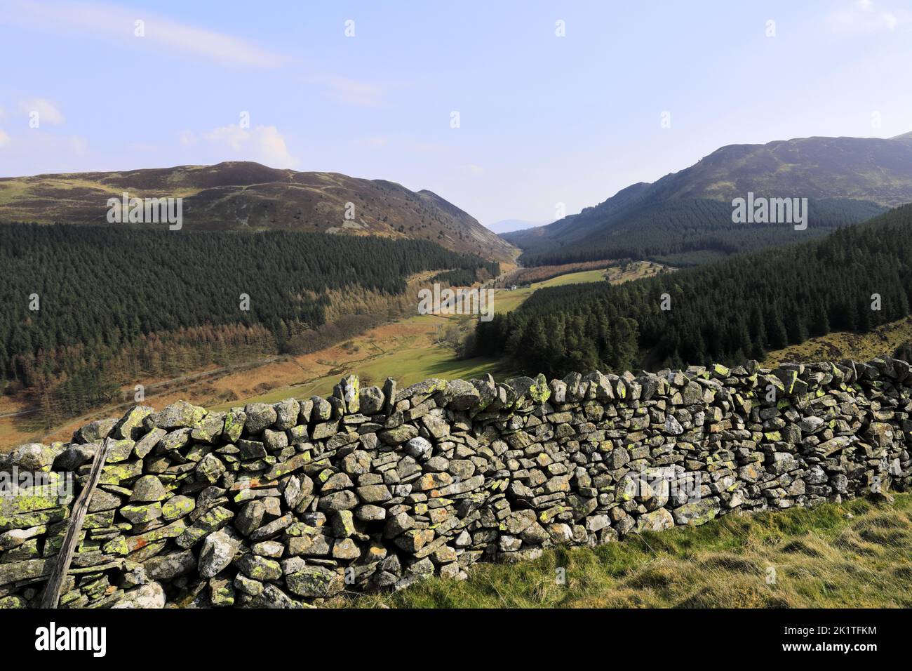 View over the Whinlatter forest, Lake District National Park, Cumbria ...