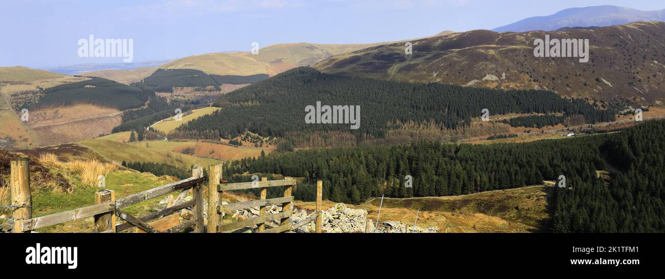 Whinlatter forest park hi-res stock photography and images - Alamy