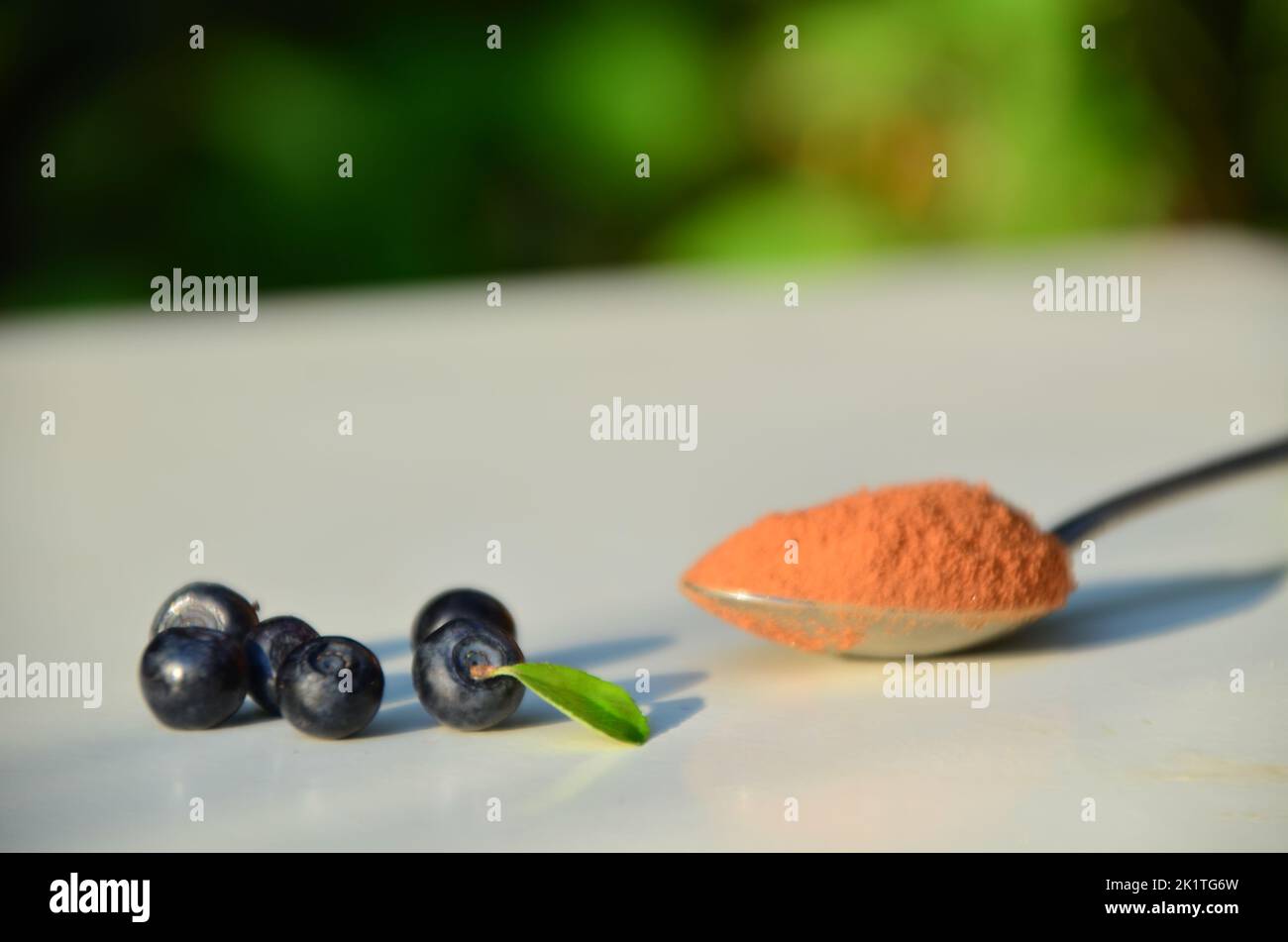 Antioxidant rich Blueberry Powder made freeze dried super food and hand ...