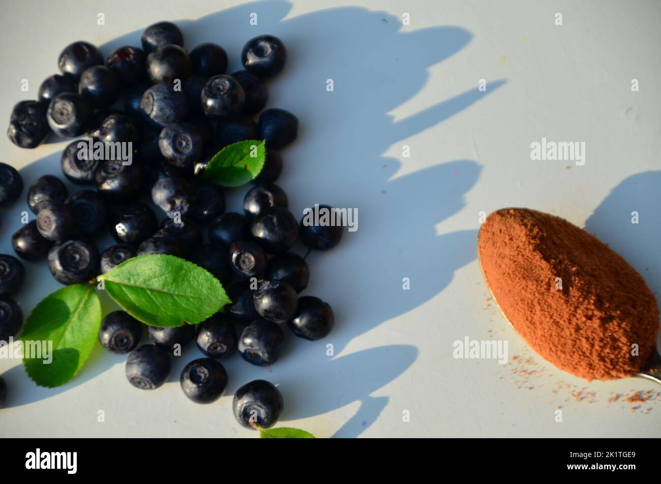 Antioxidant rich Blueberry Powder made freeze dried super food and hand ...