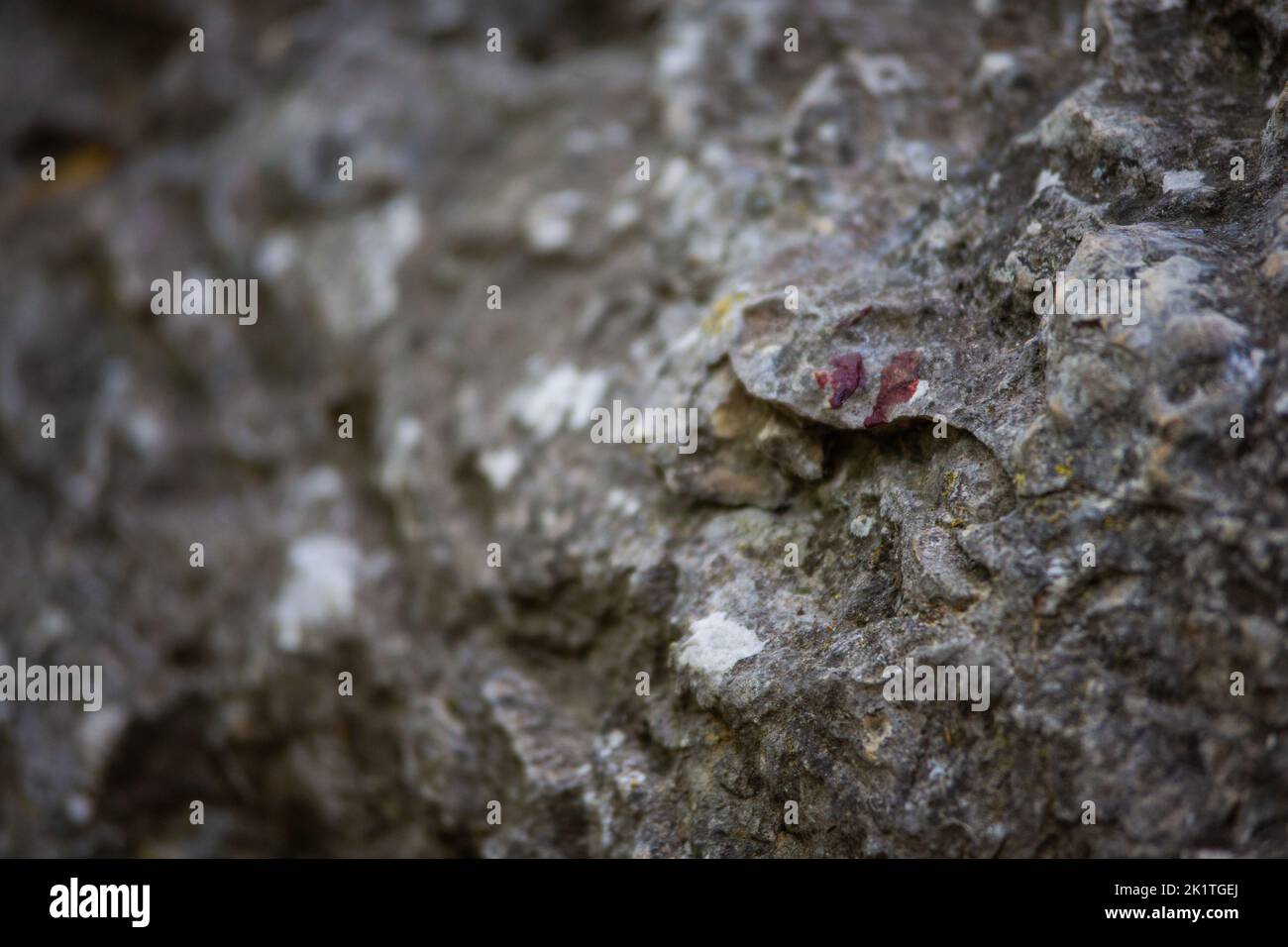 A sharp rocks in the cave Stock Photo - Alamy
