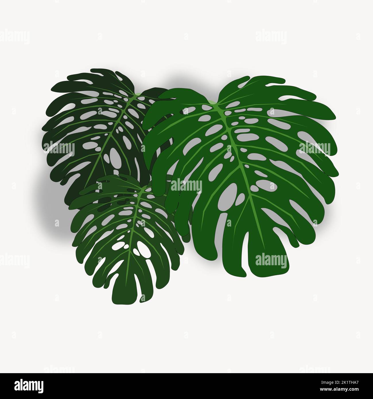 Monstera leaf collage element illustration vector Stock Vector Image ...