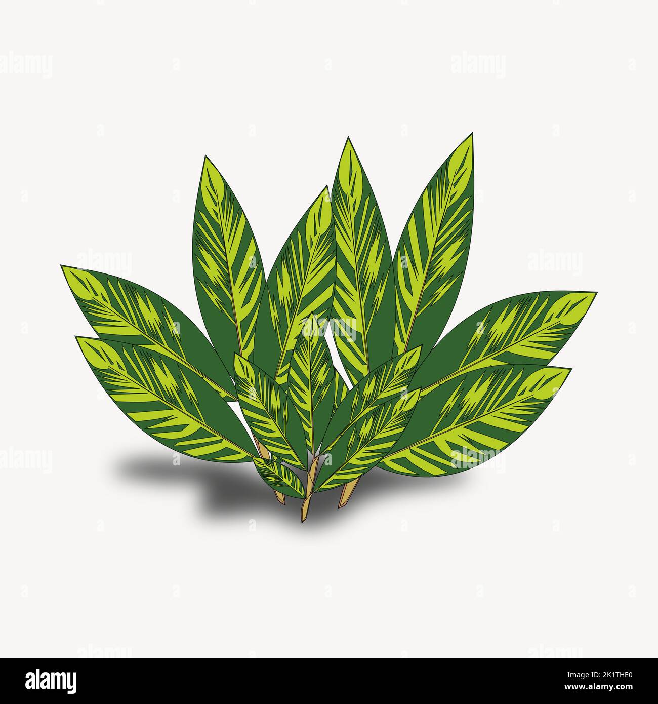 Leaf collage element illustration vector Stock Vector Image & Art - Alamy