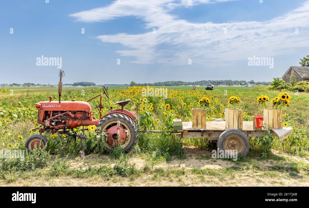 Tractor parked in barn hi-res stock photography and images - Alamy
