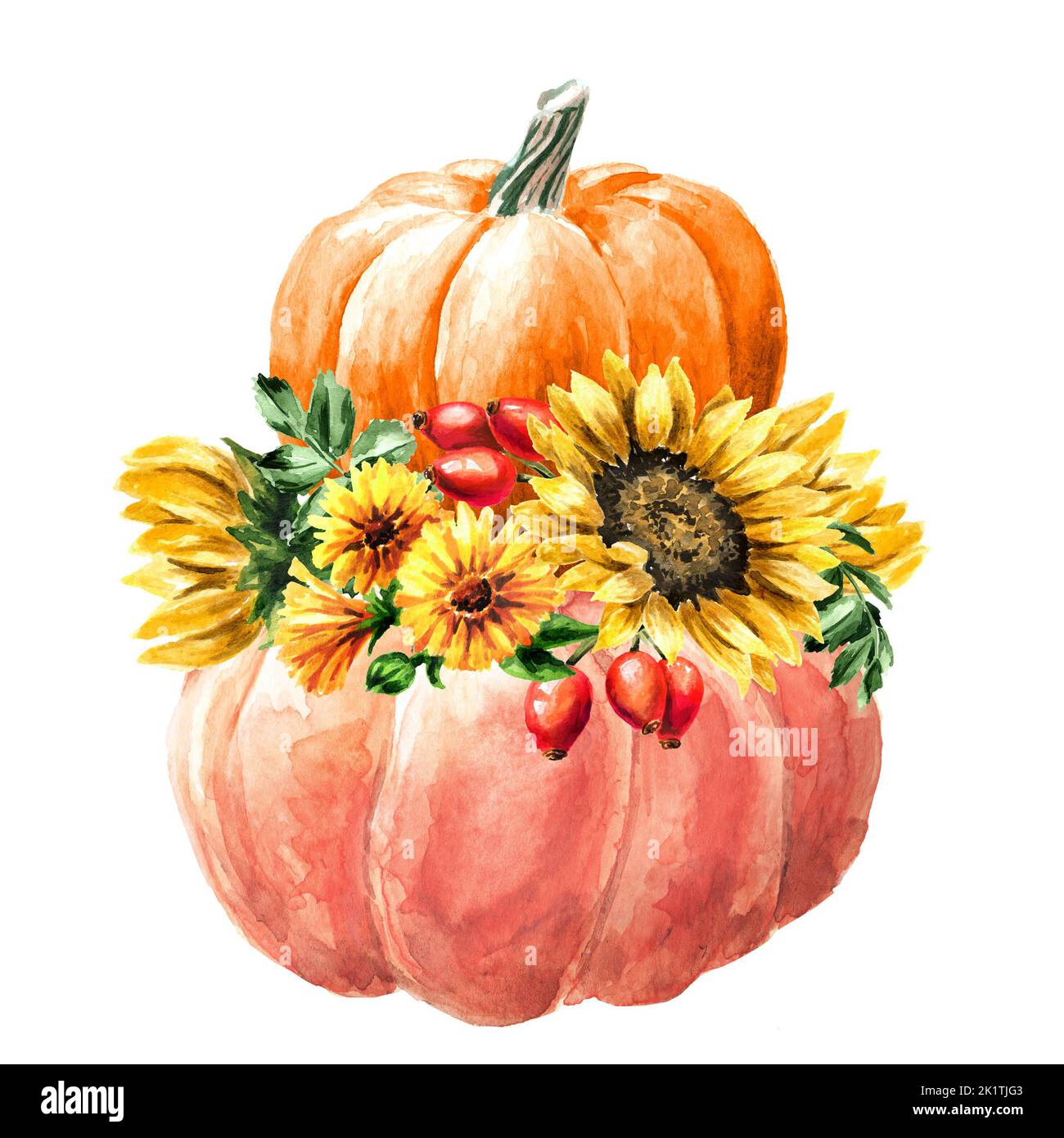 Fall, autumn pumpkin decor, Hand drawn watercolor illustration isolated ...