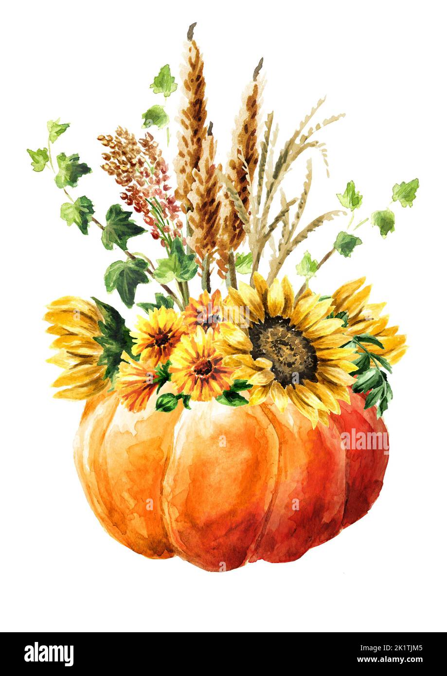 Fall, autumn pumpkin decor, Hand drawn watercolor illustration ...