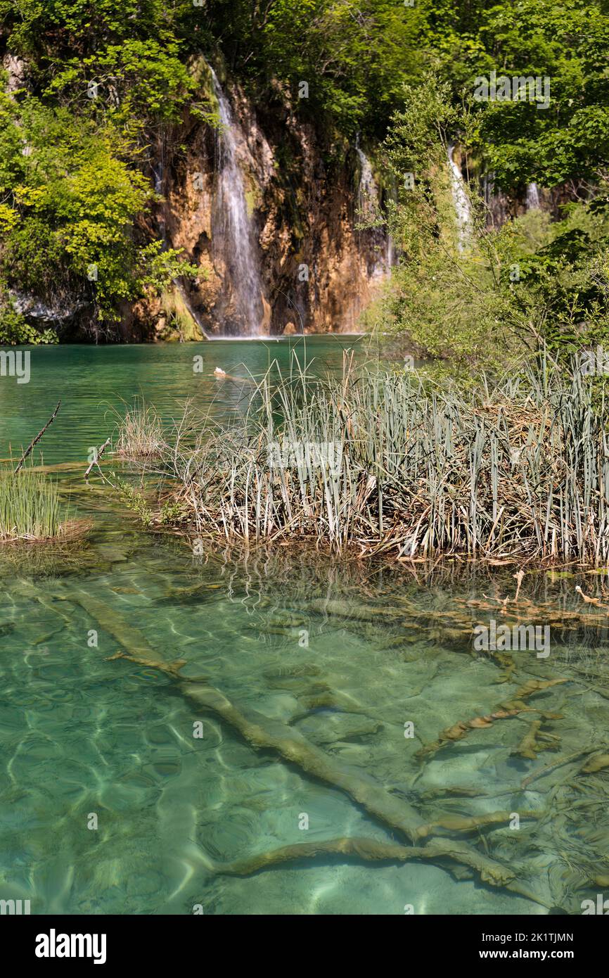 Plitvice lakes, Plitvice national park, Croatia Stock Photo - Alamy