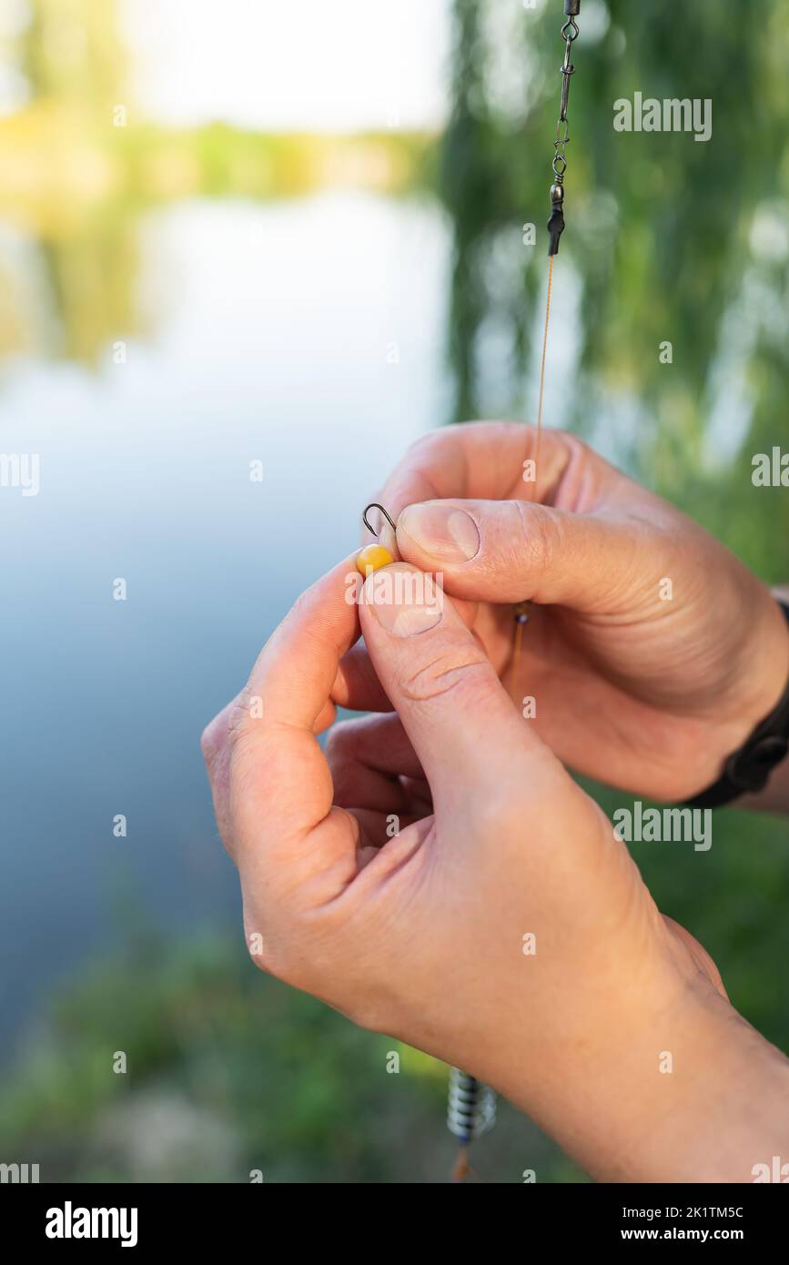 The concept of bait for fish. Close-up of a fisherman's male hand ...