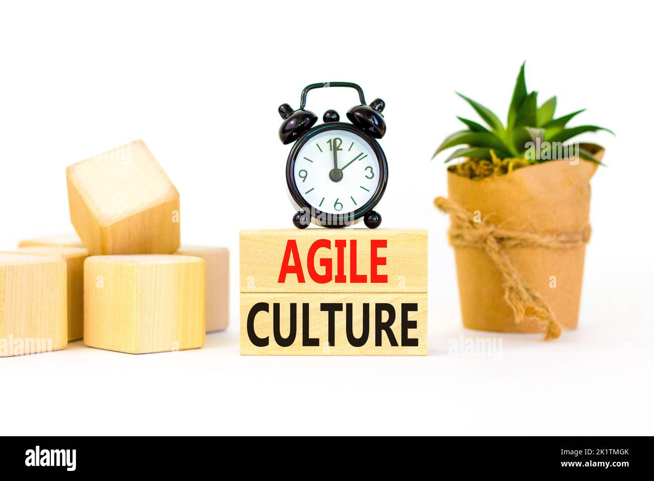 Agile culture symbol. Concept words Agile culture on wooden blocks ...