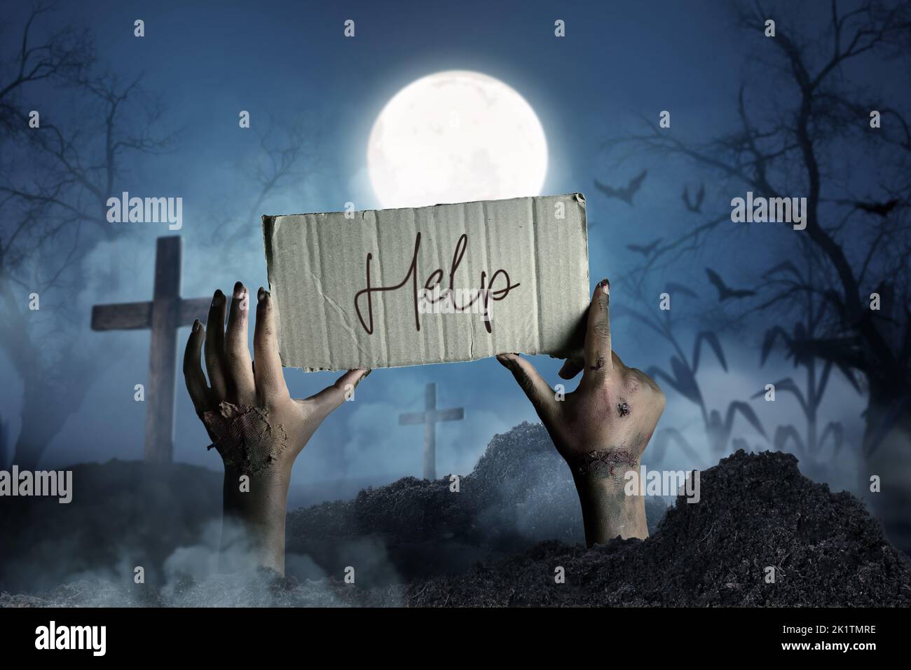Hands of zombie holding cardboard with text HELP while getting out of ...