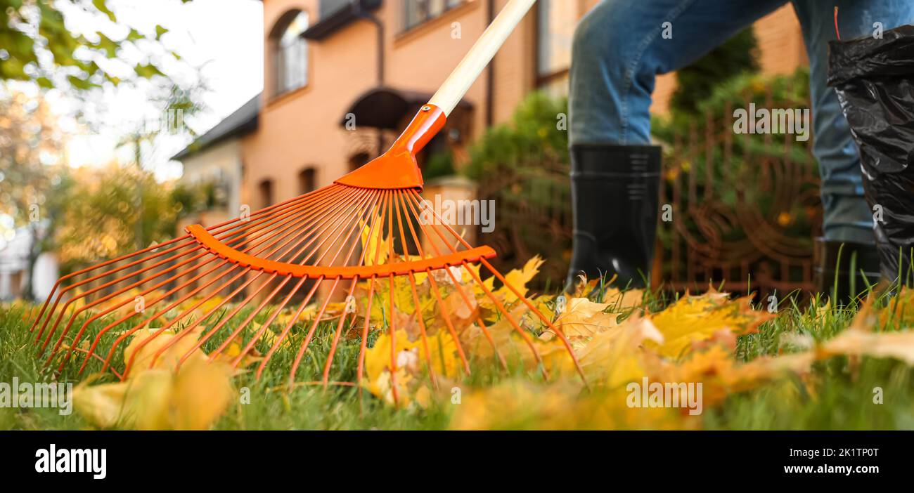 Man in long grass leaves hi-res stock photography and images - Alamy