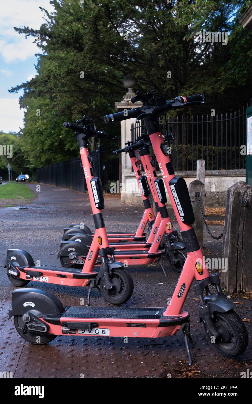 Voi logo hi-res stock photography and images - Alamy