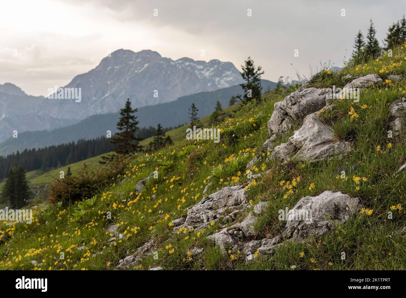 Velika planina, big pasture plateau in Slovenia, Europe Stock Photo - Alamy
