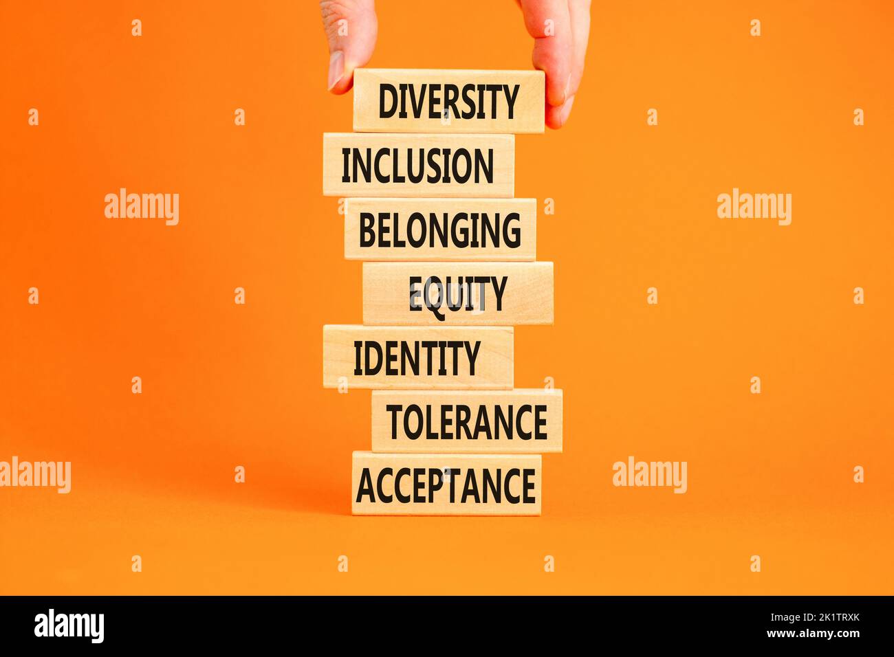 Diversity, inclusion symbol. Diversity belonging inclusion equity ...