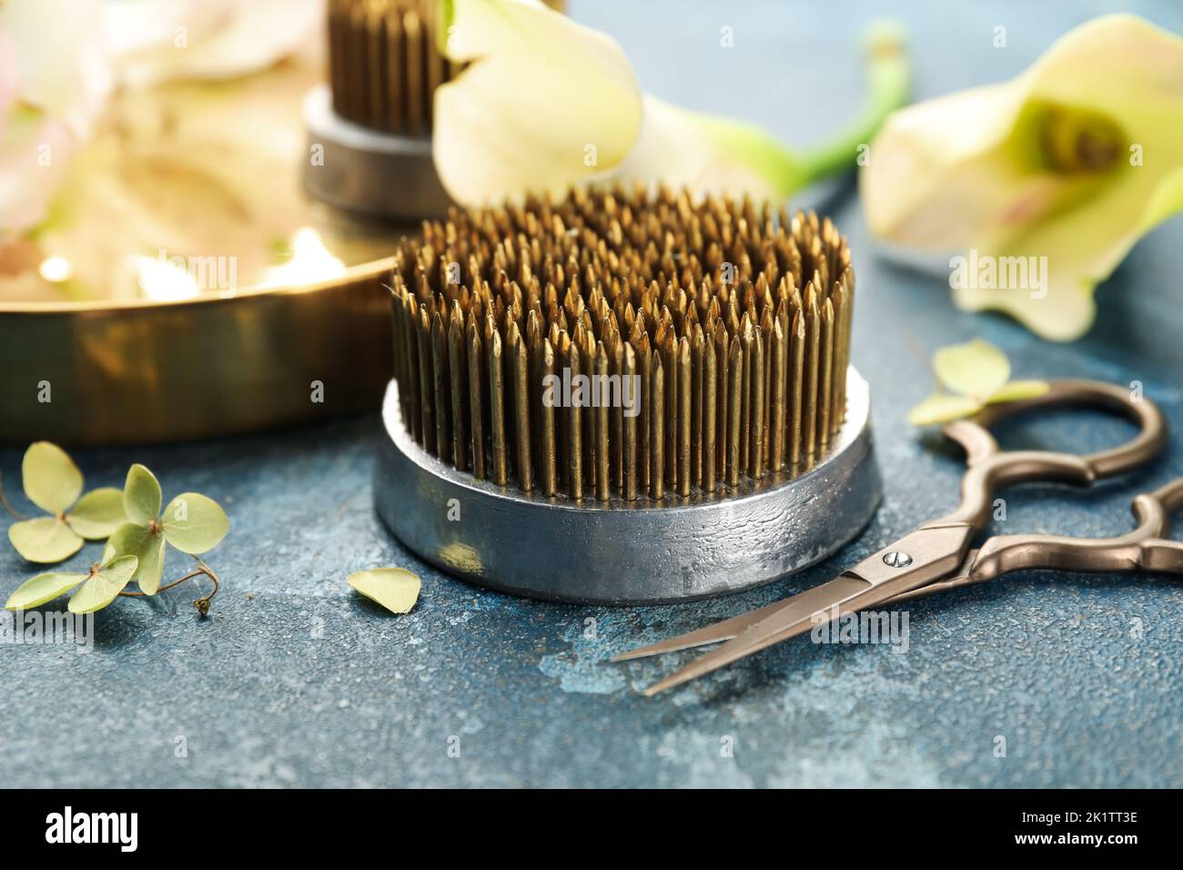 Ikebana kenzan and scissors on grunge background, closeup Stock Photo ...