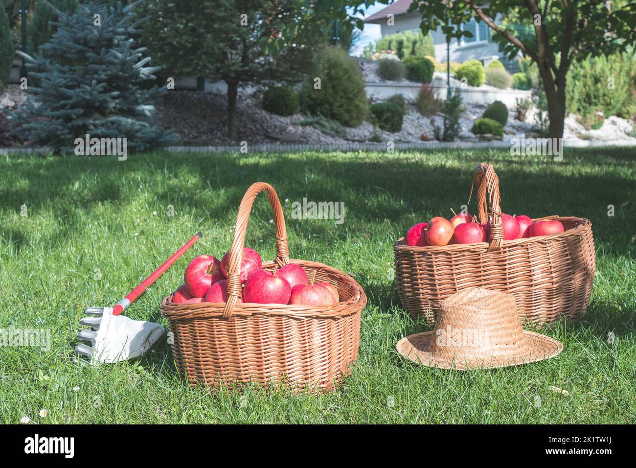 Fruit picker hi-res stock photography and images - Alamy