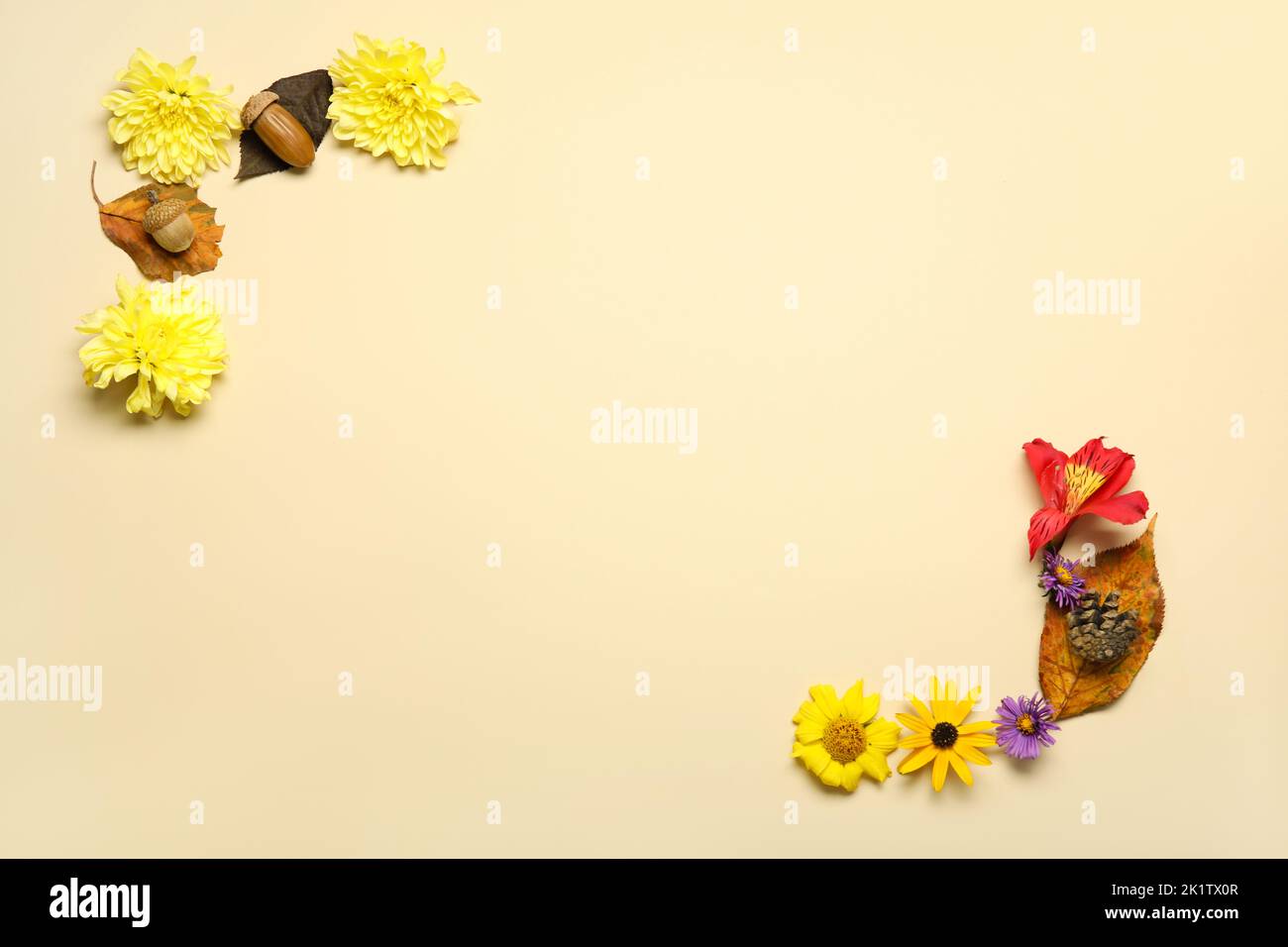 Autumn composition with flowers on color background Stock Photo - Alamy