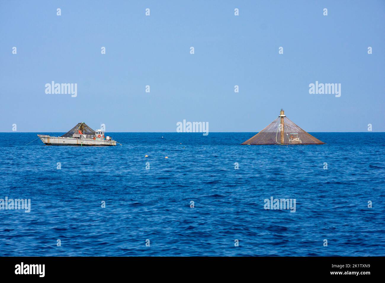 These pens contains almaco jacks, Seriola rivoliana. The fish farm off ...