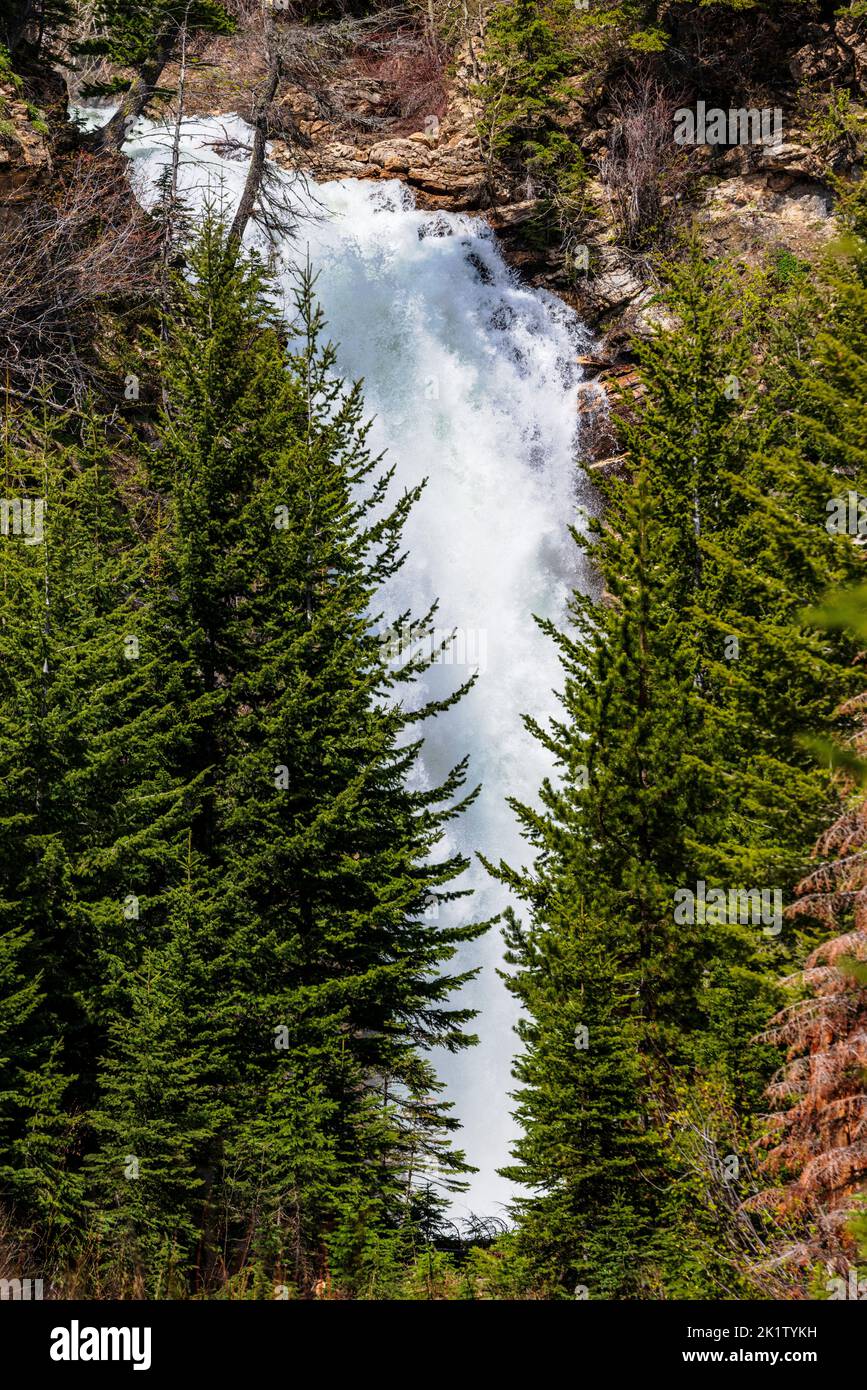 Running Eagle Falls; Glacier National Park; Montana; USA Stock Photo ...
