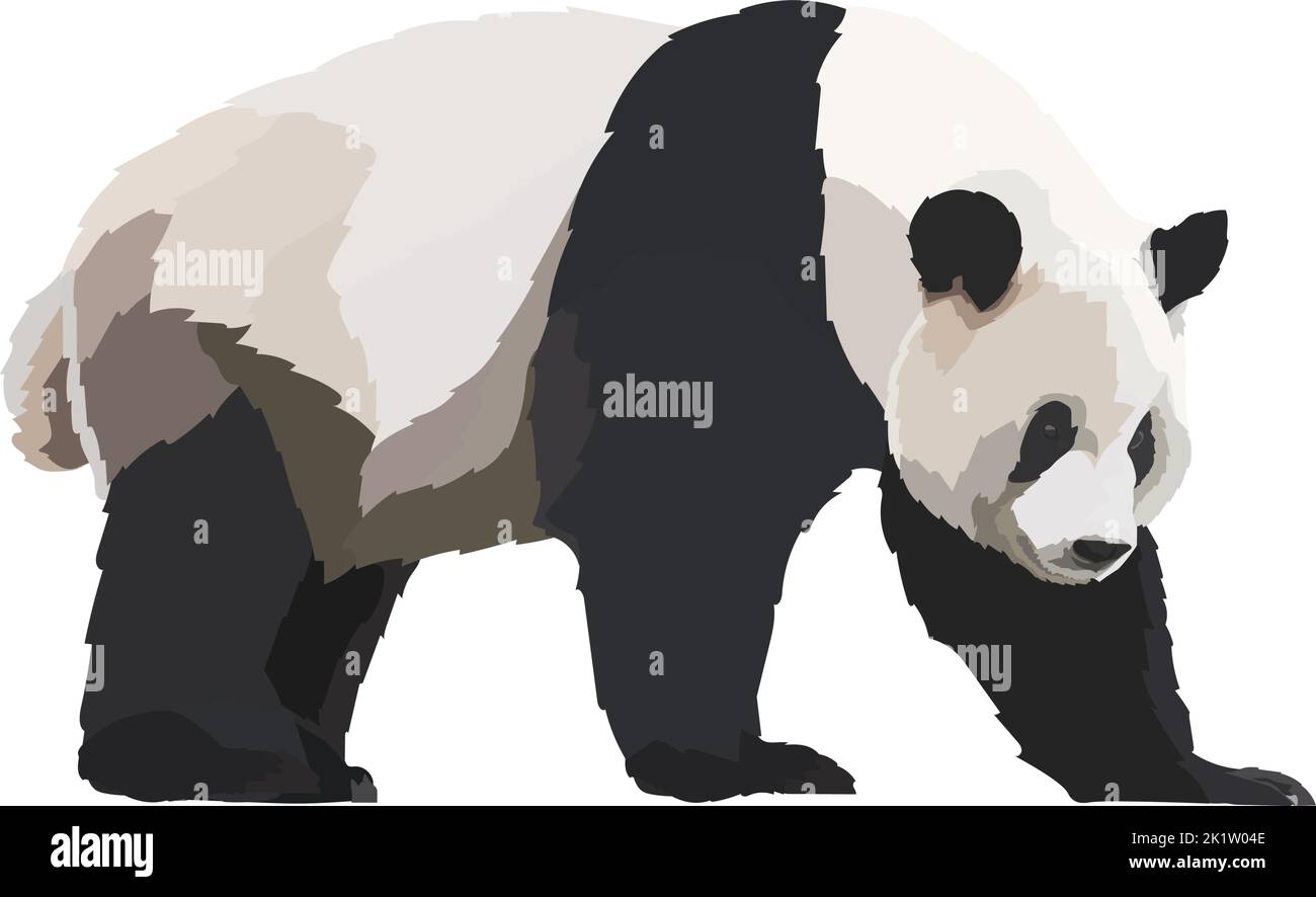 Realistic panda icon vector illustration wild animal Stock Vector Image ...