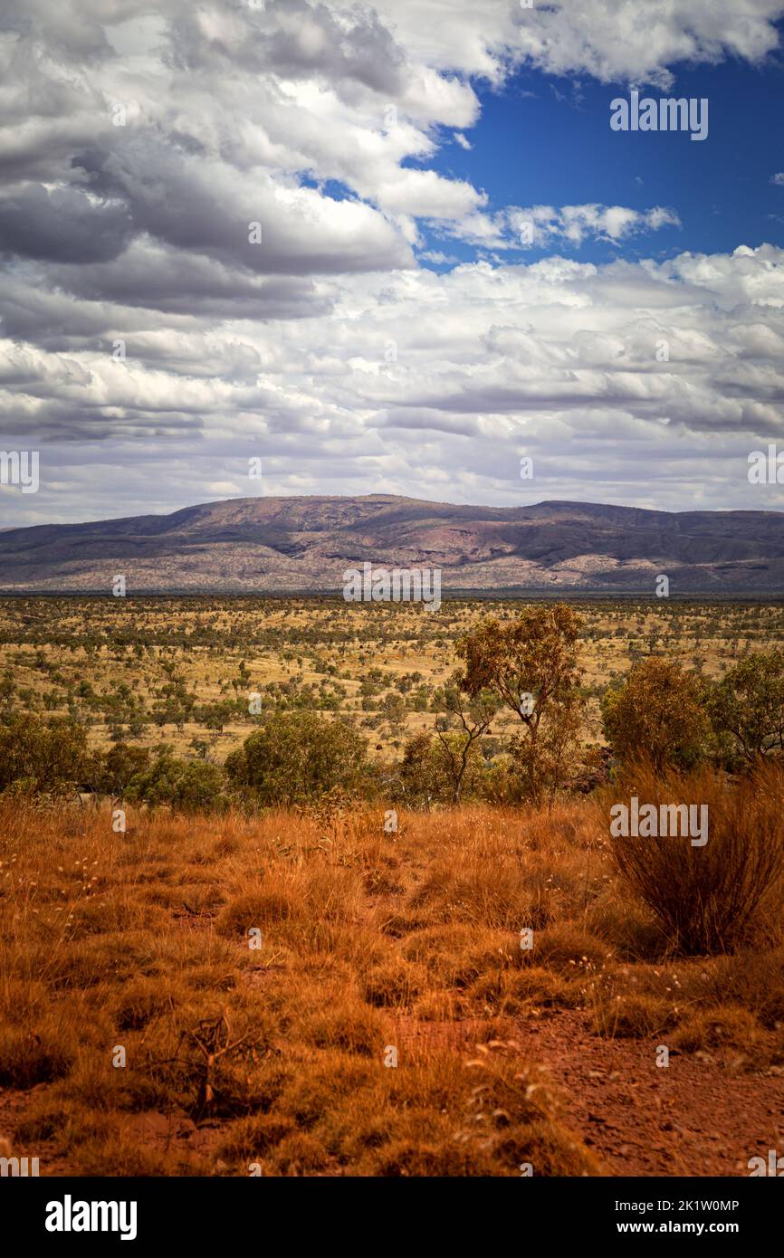 The savannah landscape of the desert with the mountain range in the ...