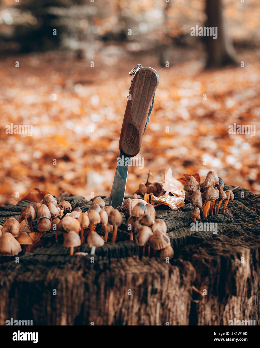 Weapon surrounded hi-res stock photography and images - Alamy