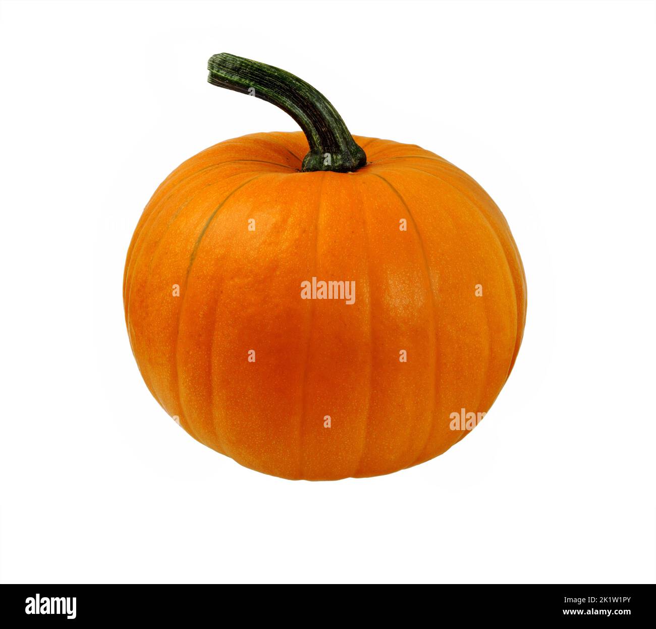 Pumpkin isolated on white background. Orange squash Stock Photo - Alamy