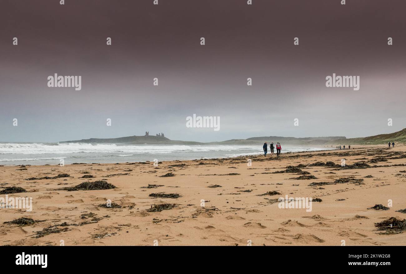 Visitors on the beach at Embleton Bay, Embleton, Northumberland ...
