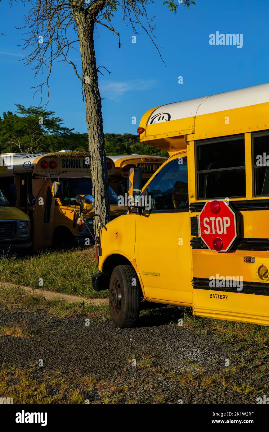 Yellow school bus against blue sky. Stop sign on a side. School bus ...