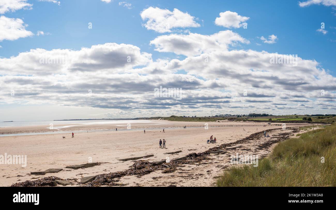 People walking along the beach at Alnmouth Bay on a warm autumn sunny ...