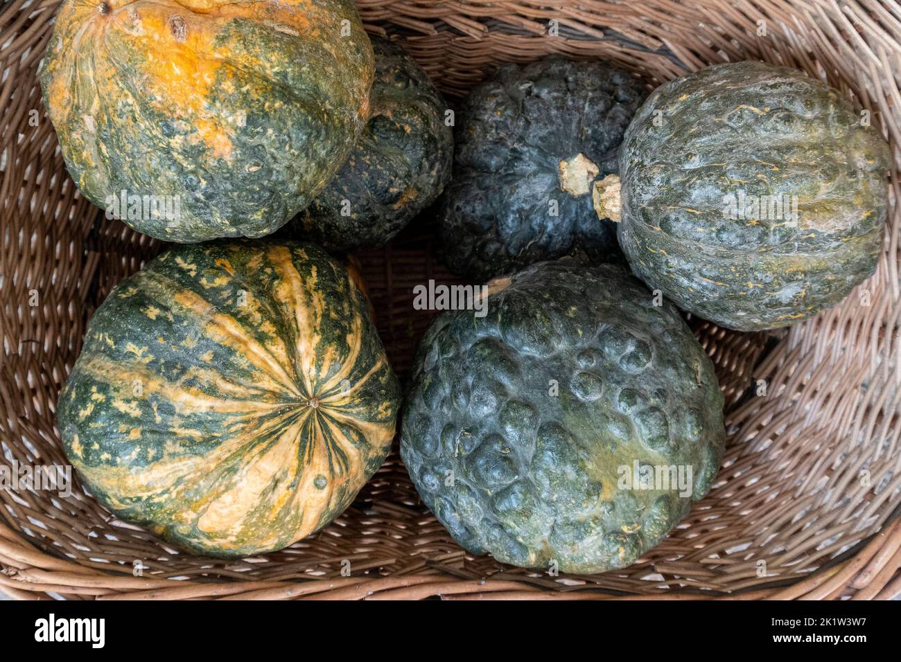 A top view of organic lumpy vegetables in a thatch basket Stock Photo ...