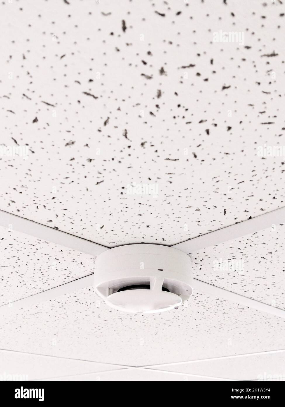 Smoke sensor on the ceiling in the office room. Fire alarm element ...