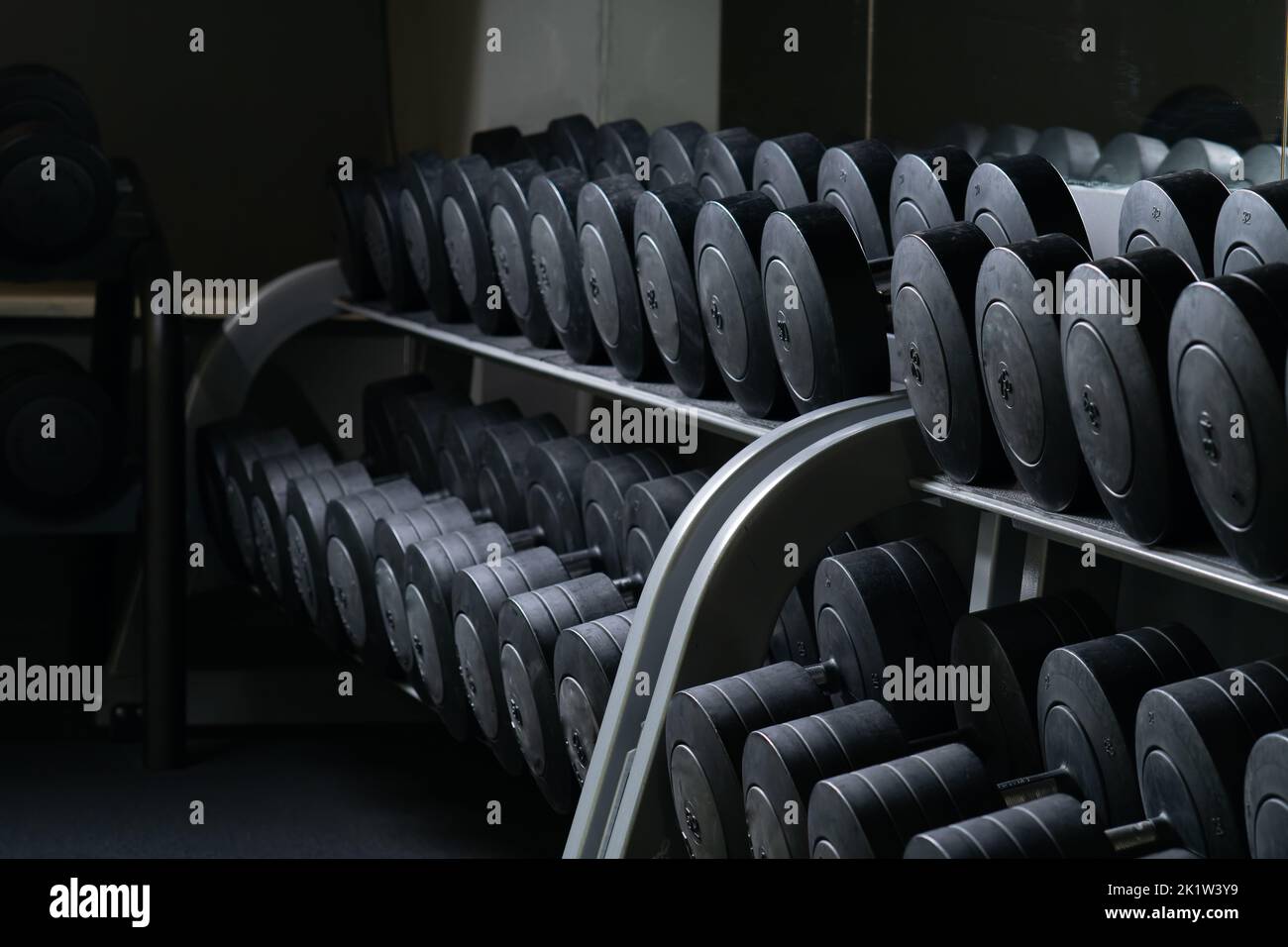 Fitness sport workout exercise gym weight training dumbbell isolated ...