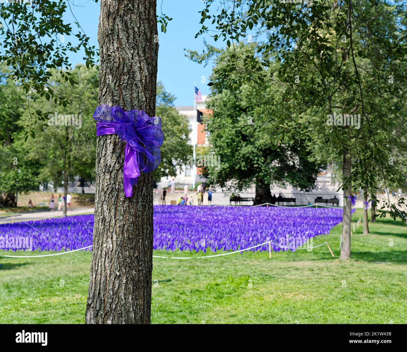 BOSTON, MASSACHUSETTS - August 29, 2022: Thousands of purple flags are ...