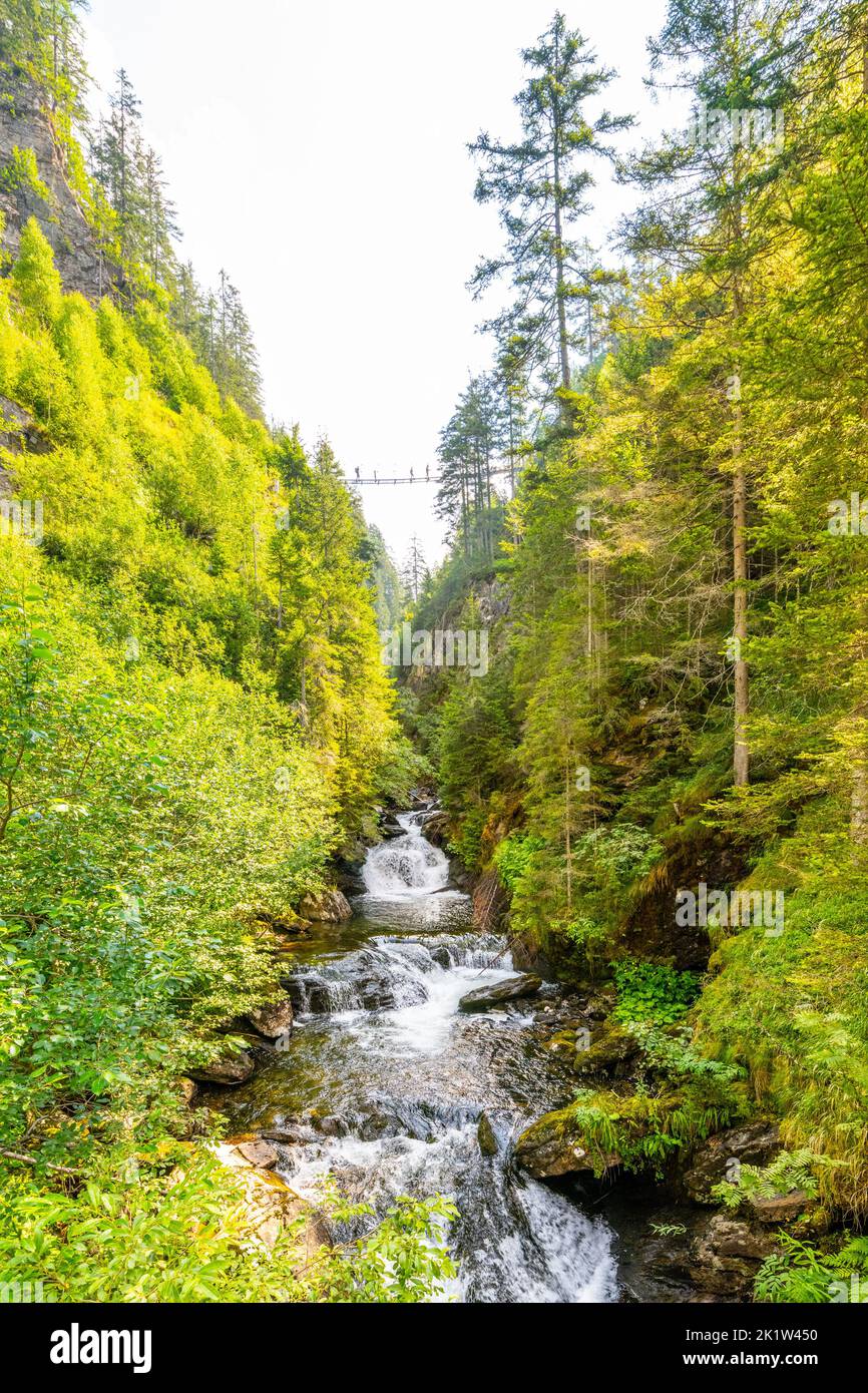 Simple suspension footbridge over mountain valley Stock Photo - Alamy