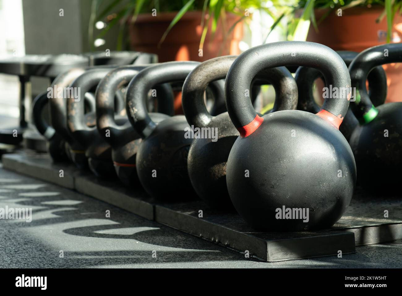 Weight Sport Exercise Health Fitness Background Training Concept