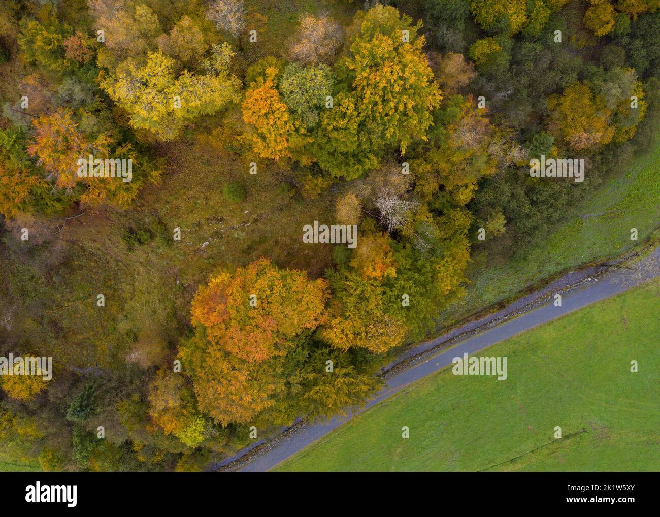 Aerial view beauty summer forest hi-res stock photography and images ...