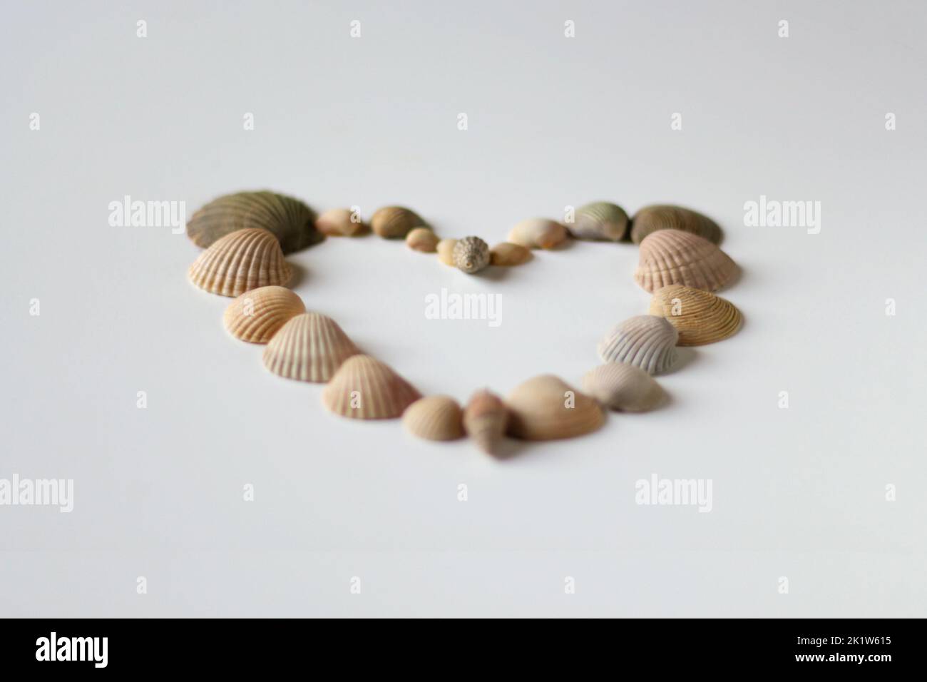 Heart made shells on beach hi-res stock photography and images - Alamy