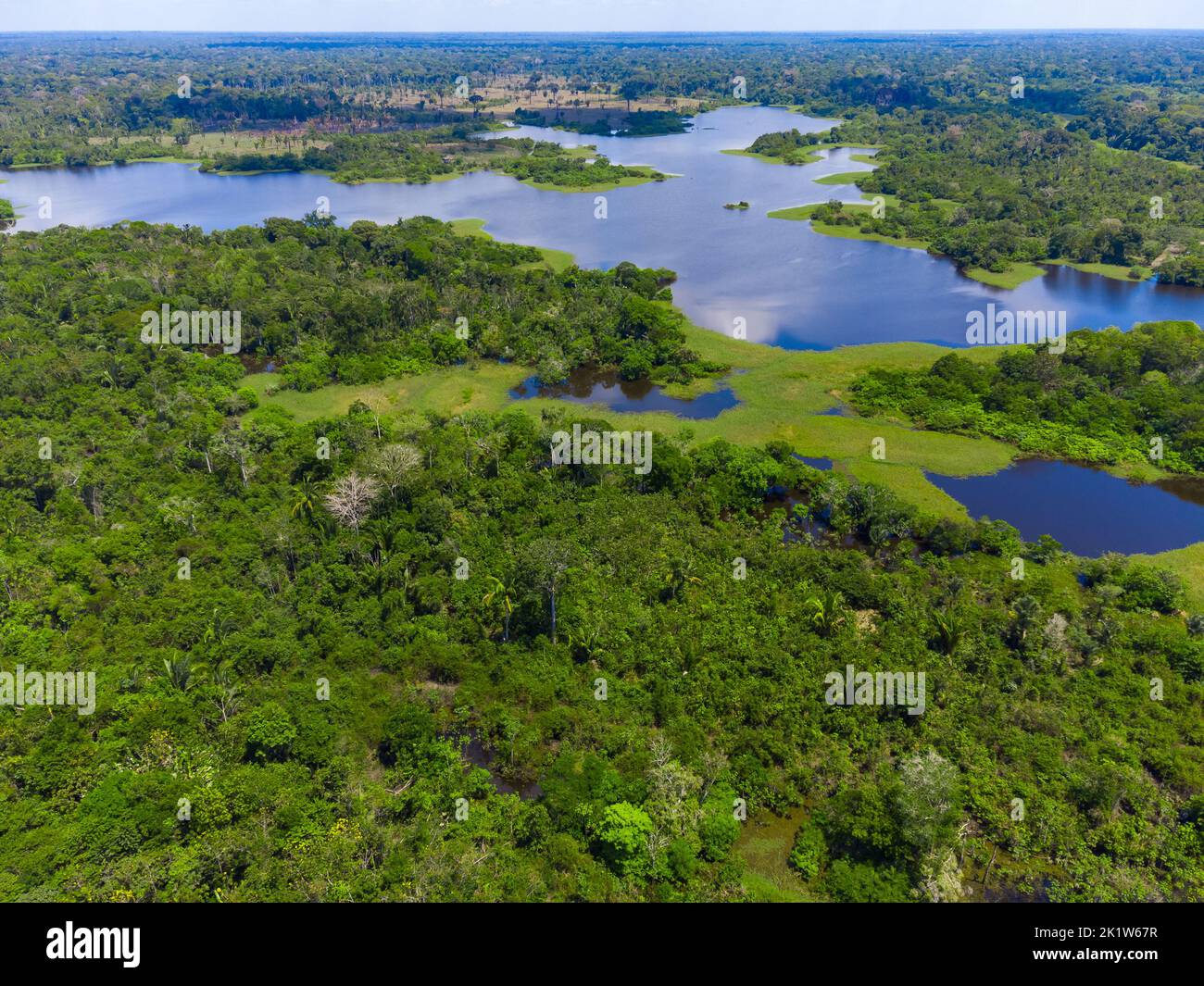 Aerial view of Igapó, the Amazon rainforest in Brazil, an incredible ...