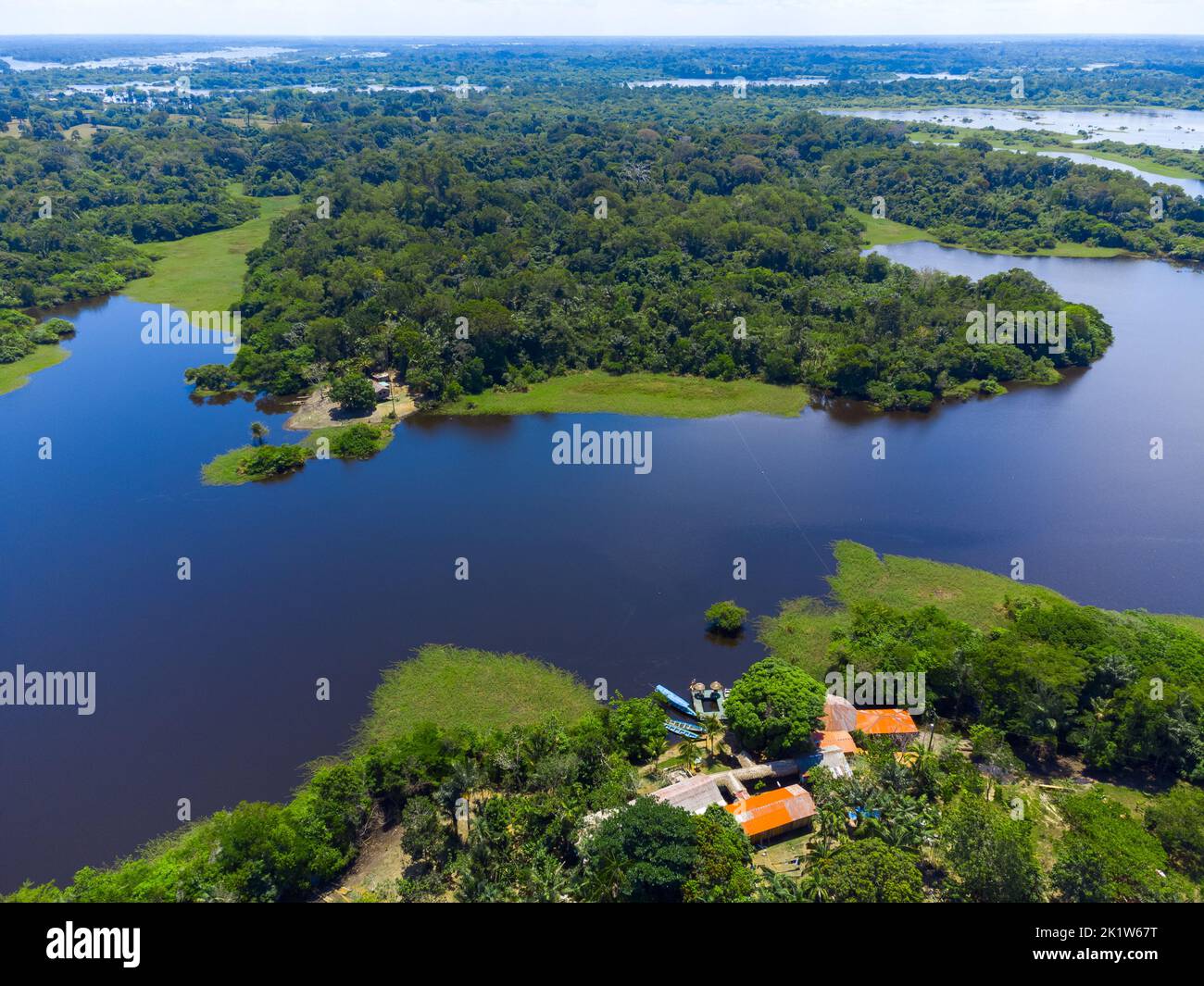 Green amazonian landscape, only forest and water Stock Photo - Alamy