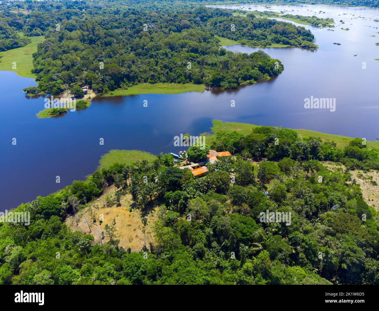 Green amazonian landscape, only forest and water Stock Photo - Alamy