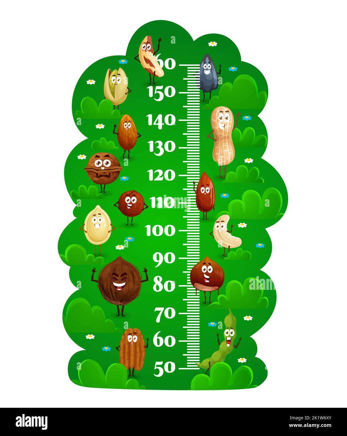 Cartoon happy nuts characters kids height chart, growth meter. Vector ...