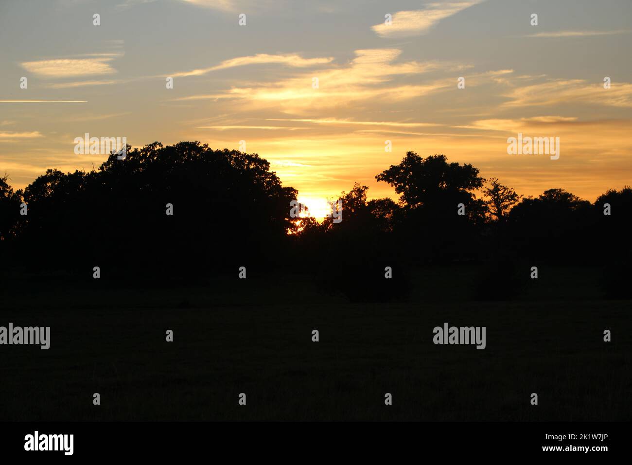 Sunset scenic picture with sun behind trees Stock Photo - Alamy