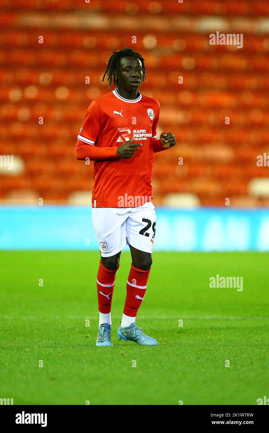 Fabio jalo hi-res stock photography and images - Alamy