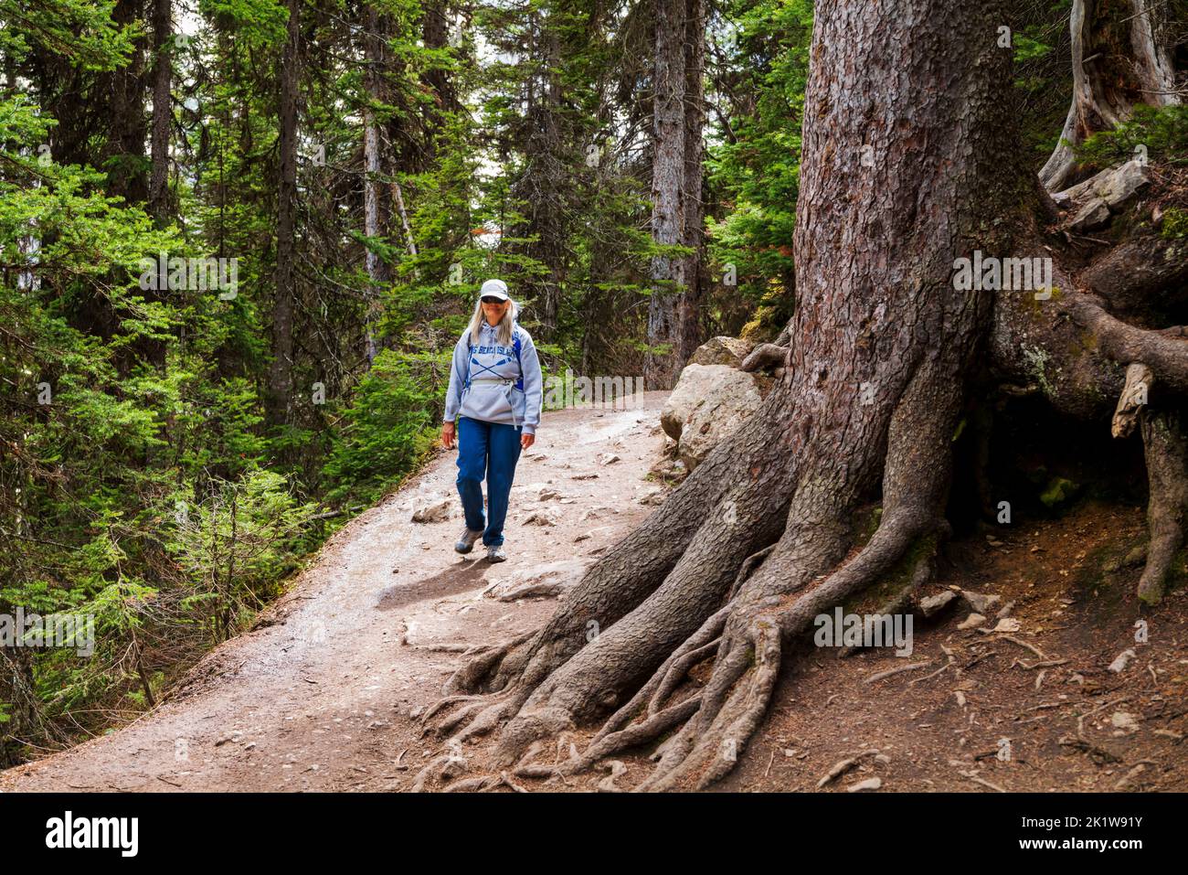 Senior female hiker; Lake Agnes Trail; Lake Louise; Banff National Park ...