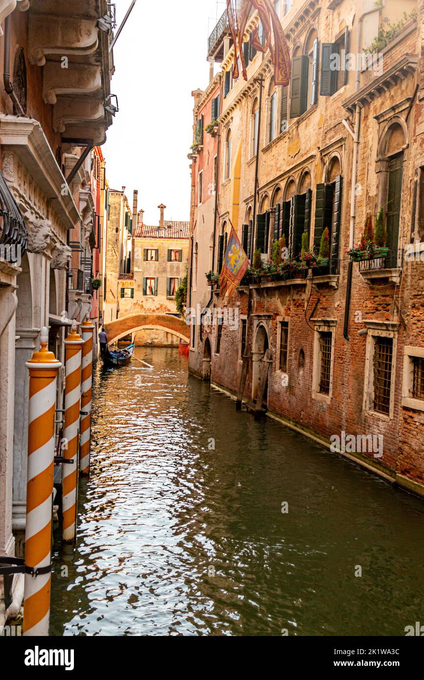 Golden daylight hi-res stock photography and images - Alamy