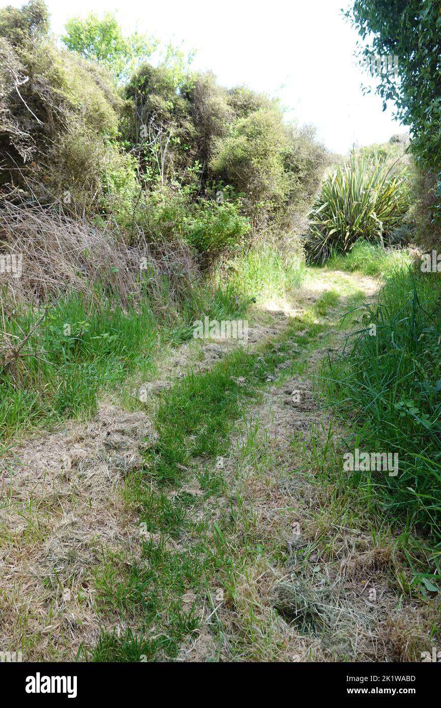New pathway and road hi-res stock photography and images - Alamy