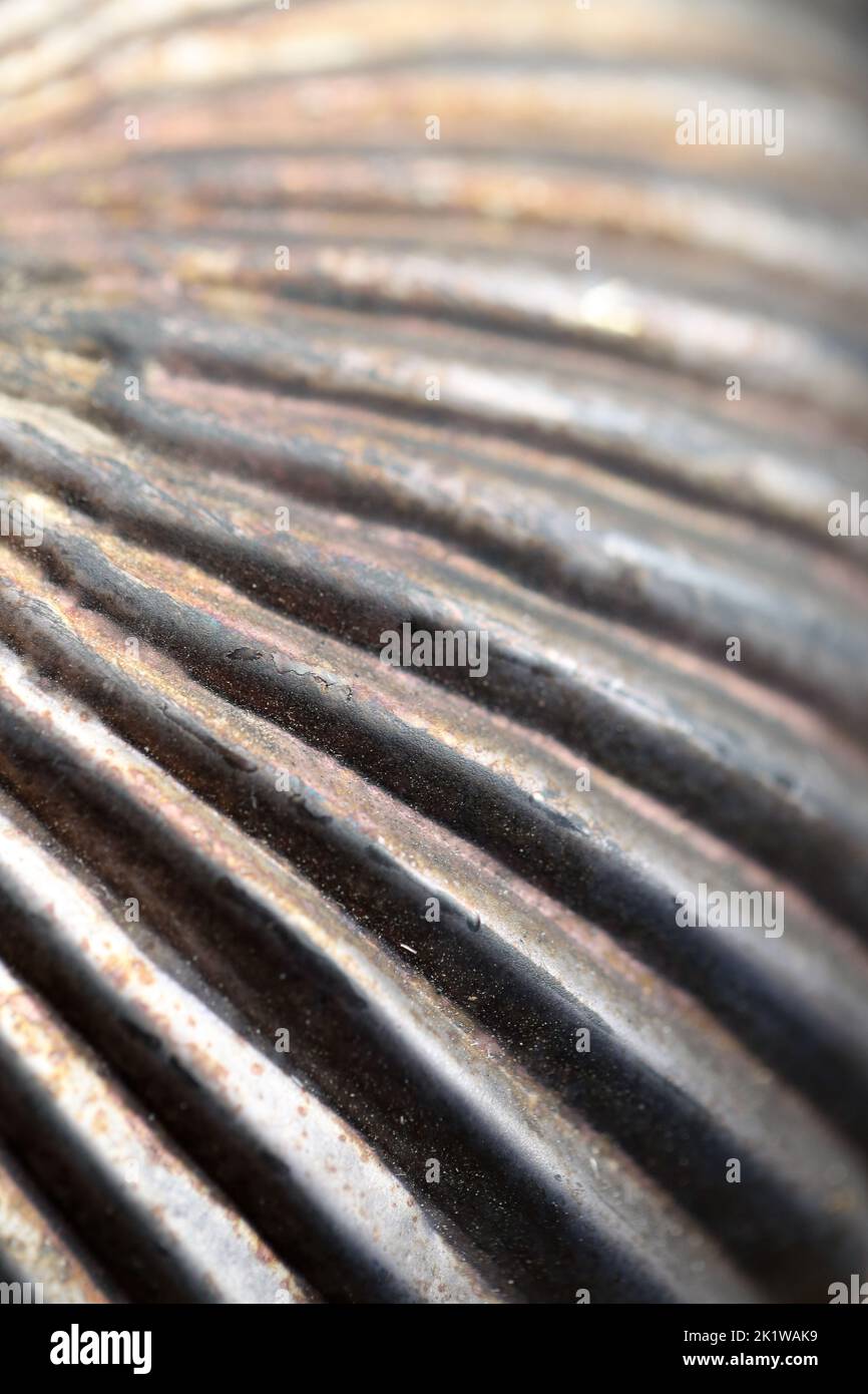 metallic shiny surface.Shabby metal background with traces of rust ...